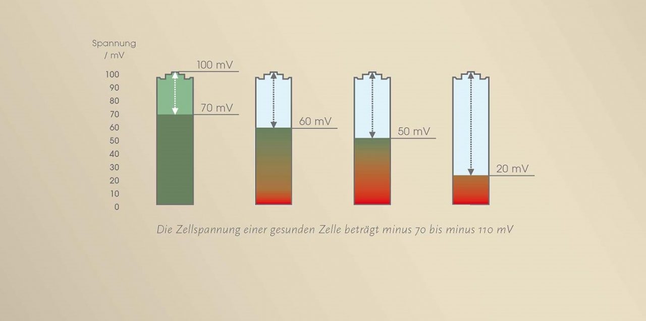 Cell Stimulation | The Cellvital Homecare system