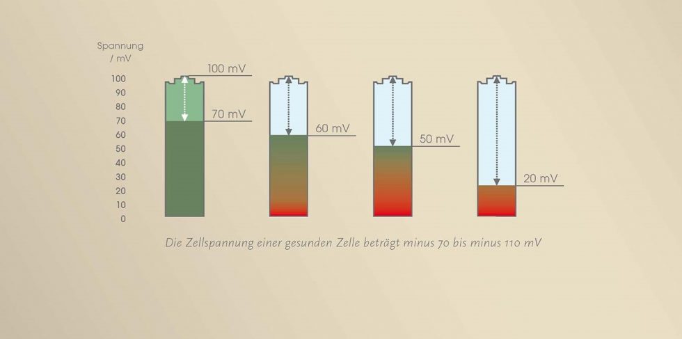 Cell Stimulation | The Cellvital Homecare system